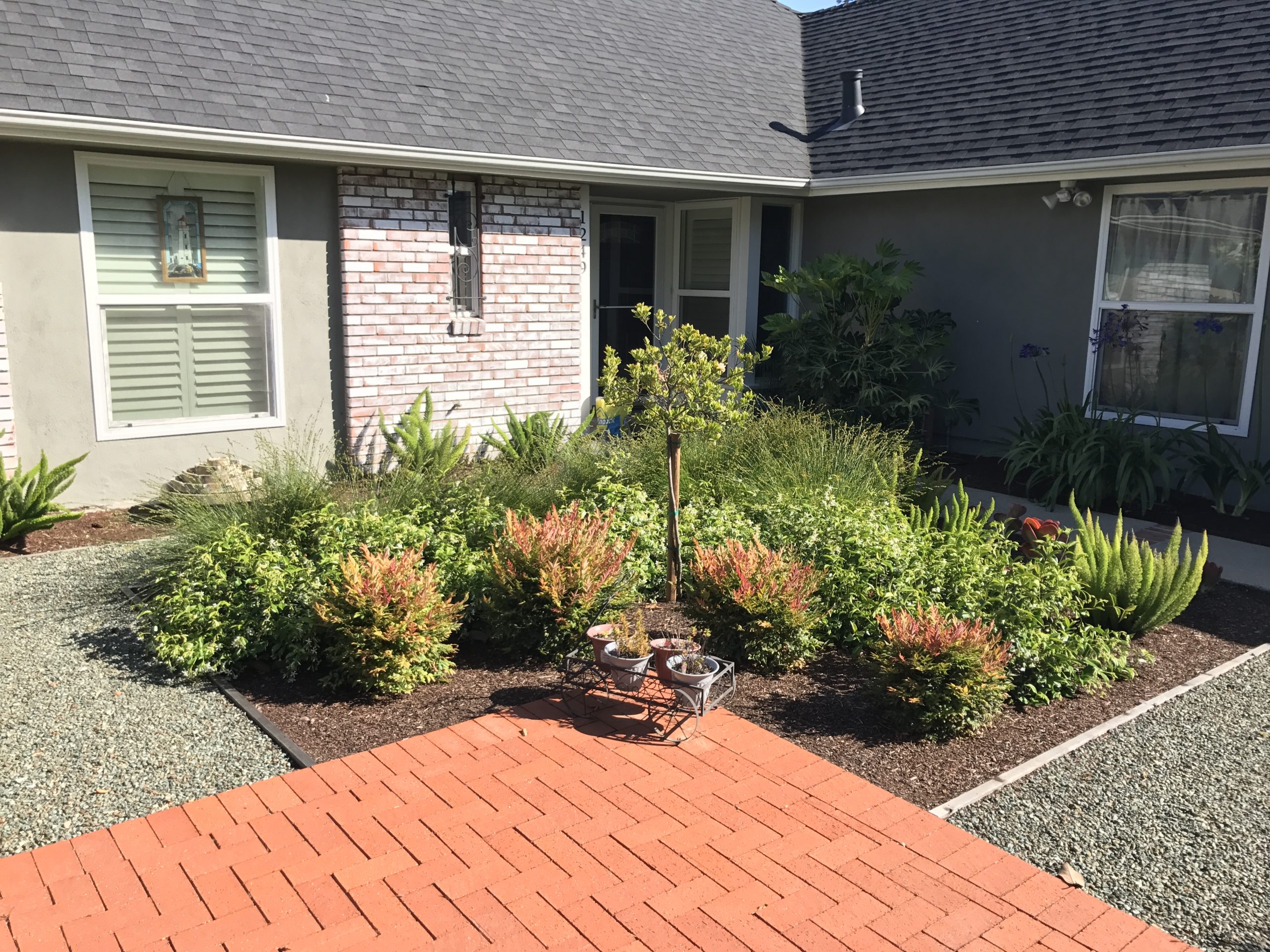 4 Tips for the Perfect Shell Beach Landscape